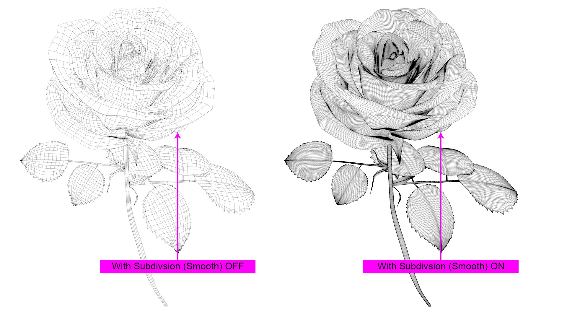 Rose Animated 3D Model - TurboSquid 2254154