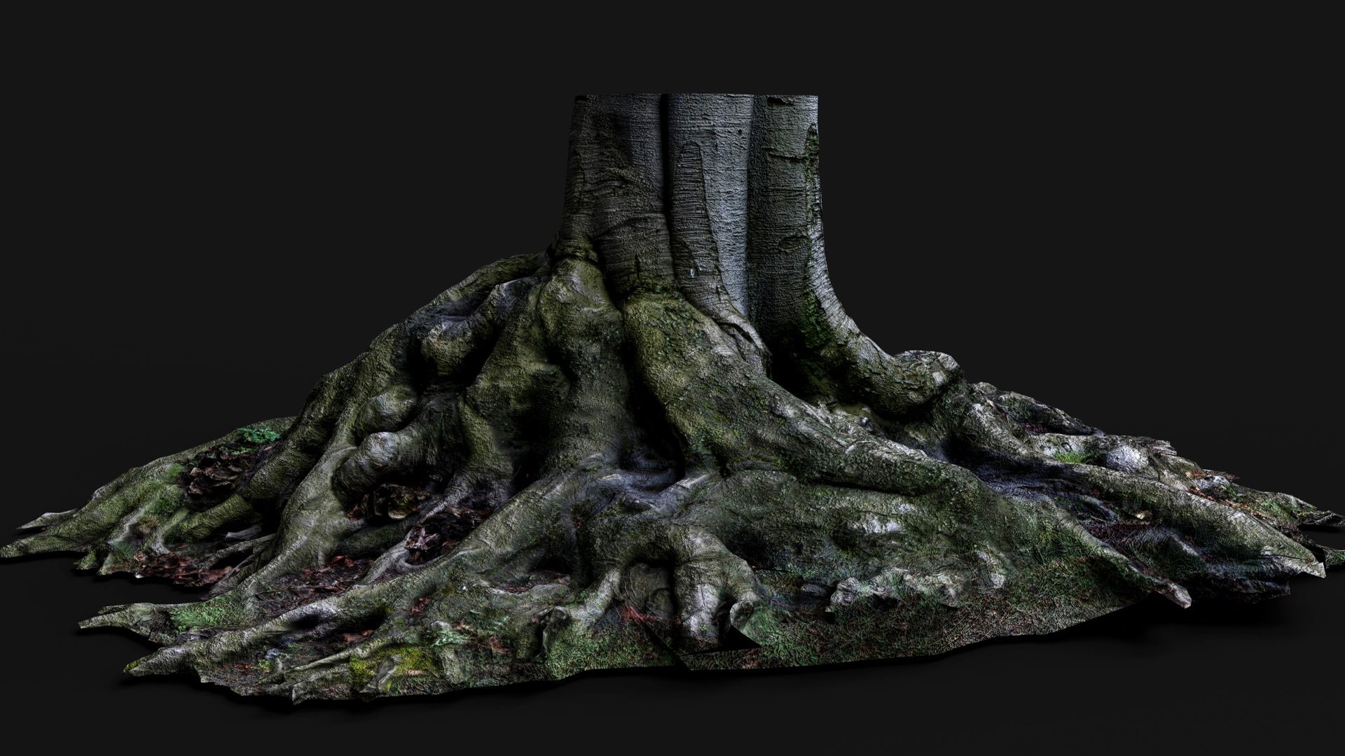 3D Wide Roots Large Tree Stump PBR Photogrammetry Model - TurboSquid ...