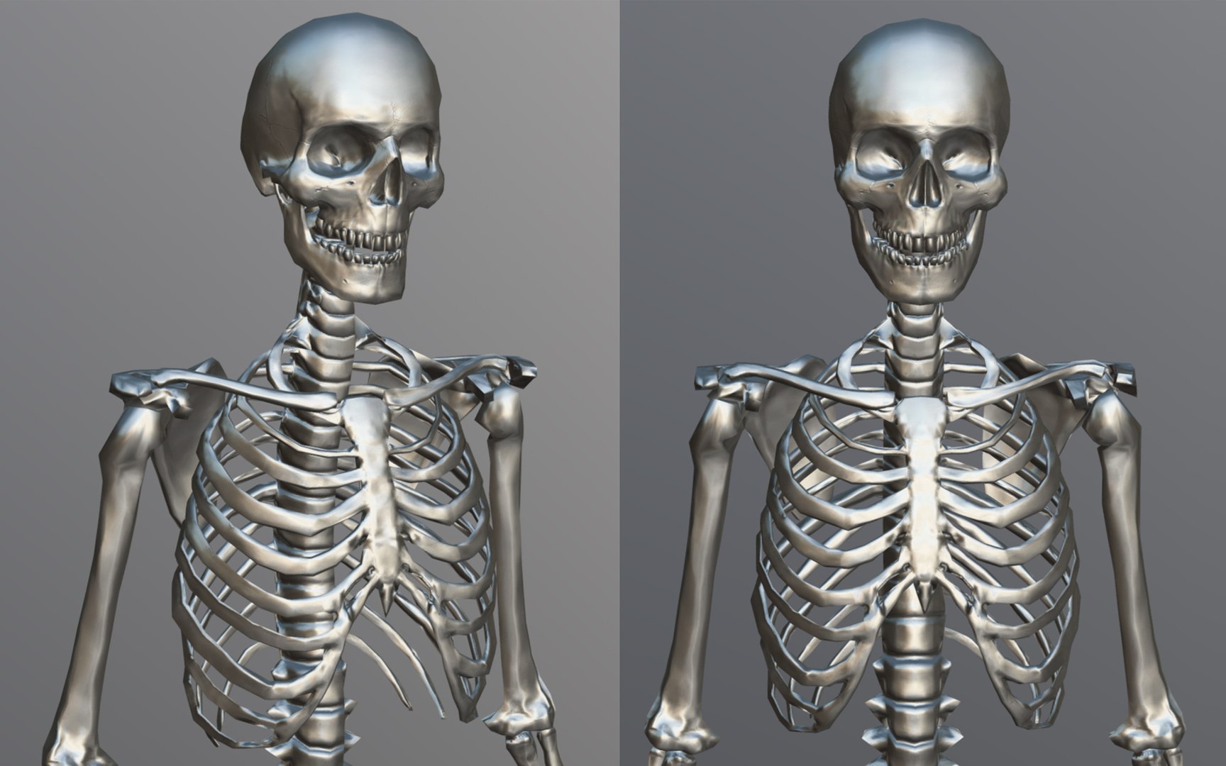 3D Lowpoly Human Skeleton Rigged Model - TurboSquid 1907610
