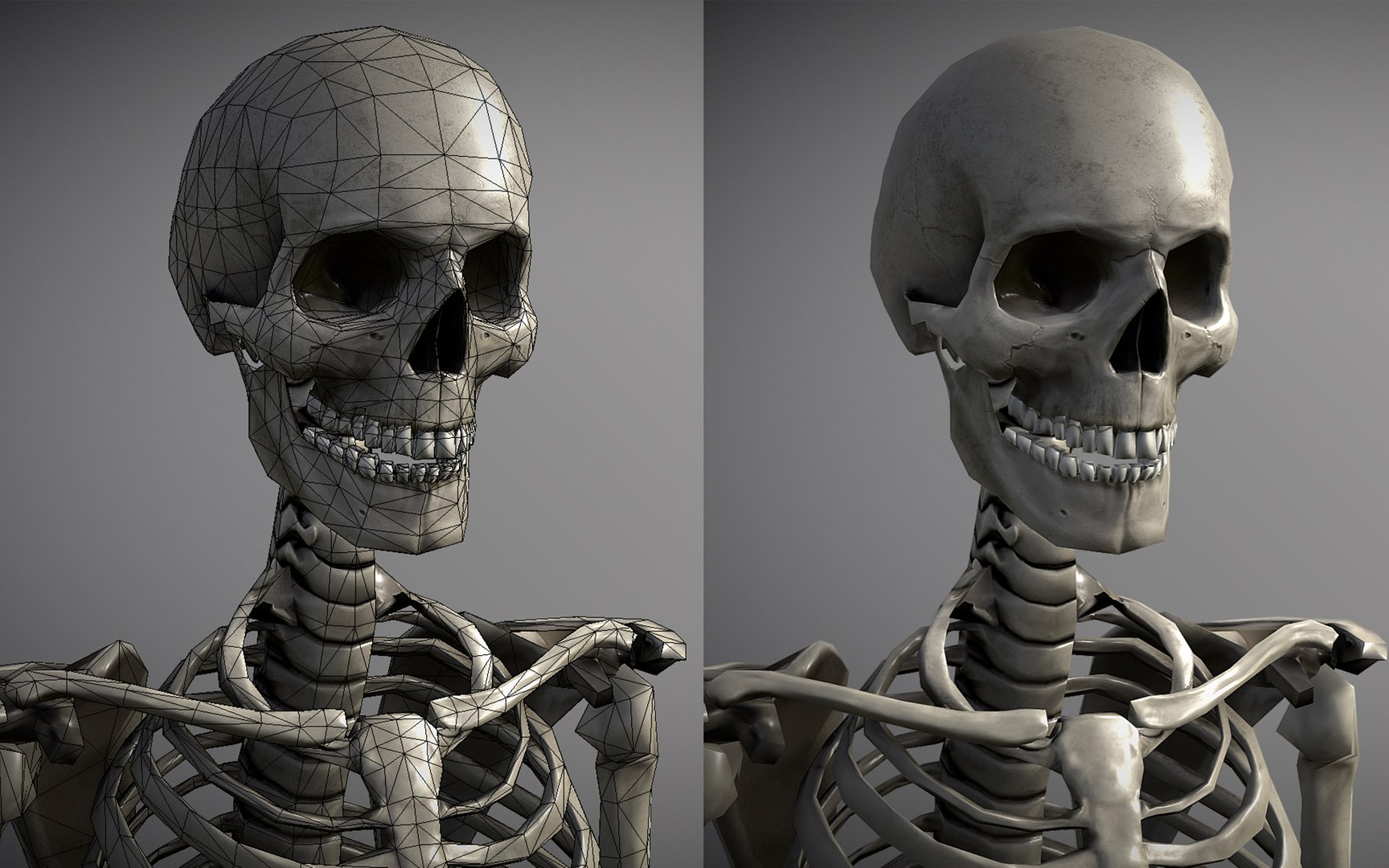 3D Lowpoly Human Skeleton Rigged Model - TurboSquid 1907610