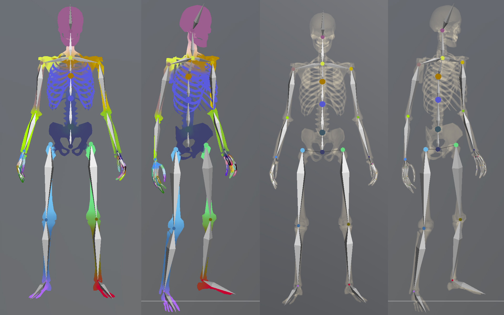 3D Lowpoly Human Skeleton Rigged model - TurboSquid 1907610