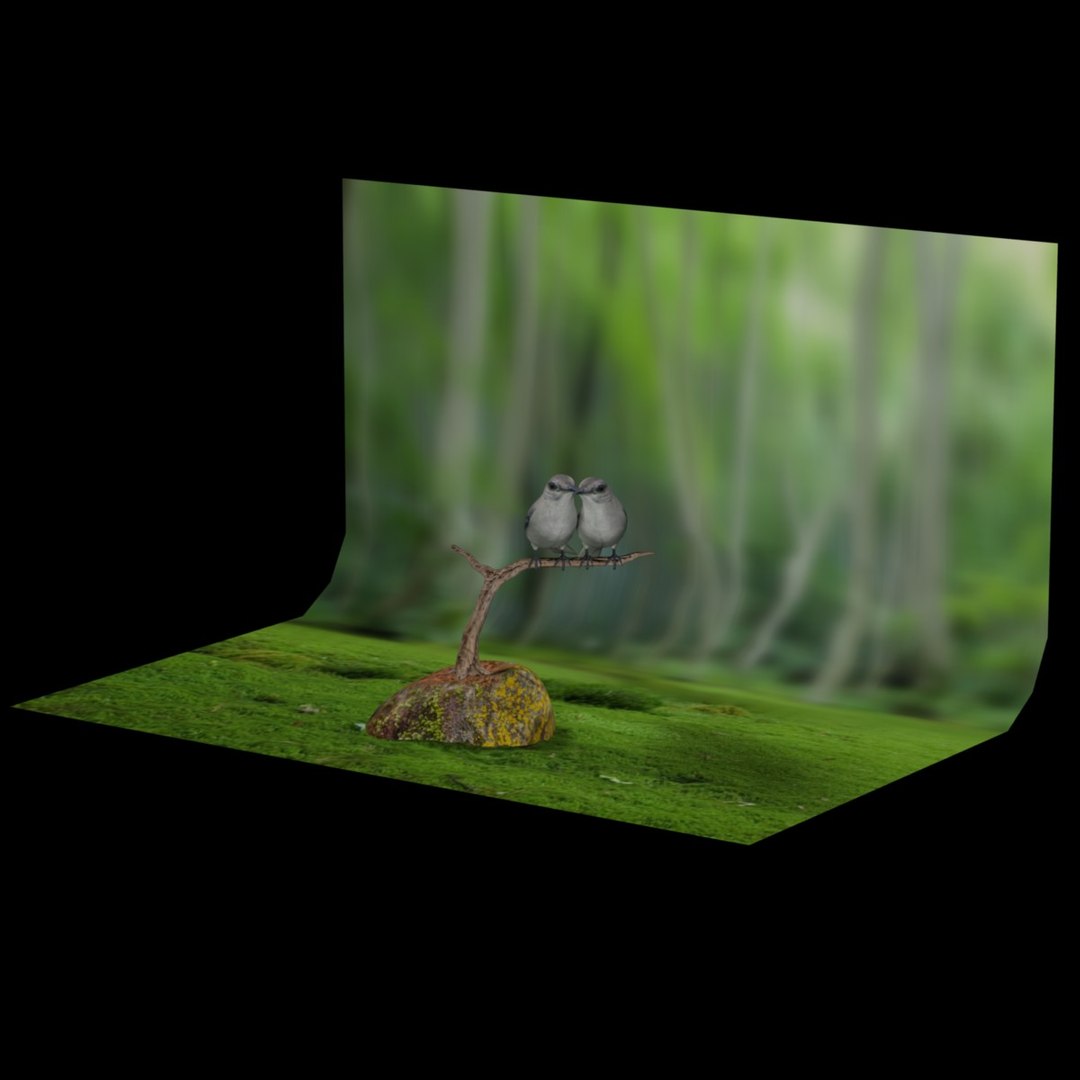 Northern Mockingbirds Birds Ab 3d Model