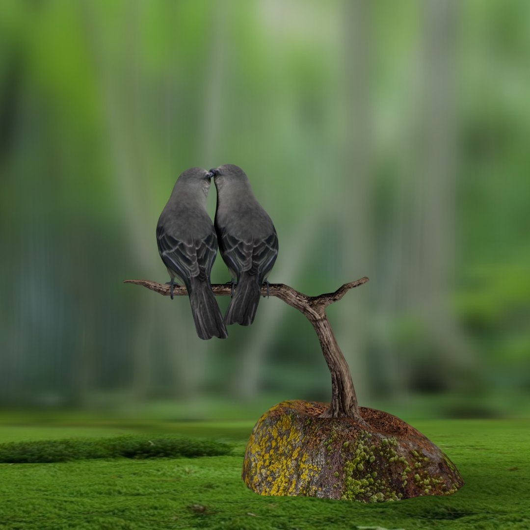 Northern Mockingbirds Birds Ab 3d Model