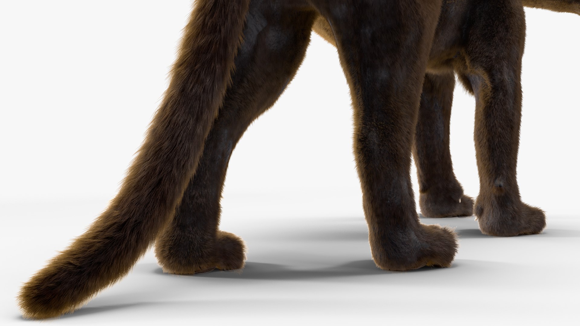 Black Panther Walking Pose Fur 3D - TurboSquid 2209634