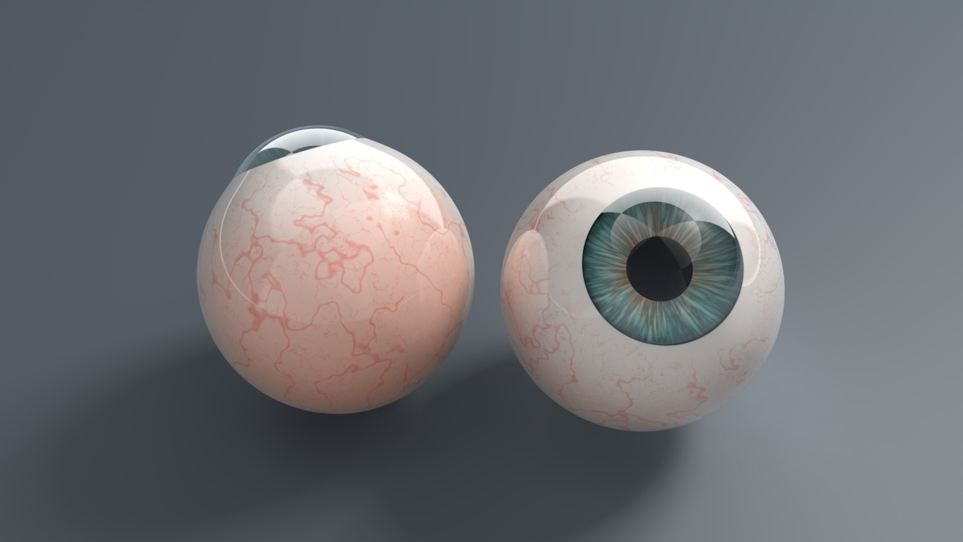 Eye Eyeball Model - TurboSquid 1708336