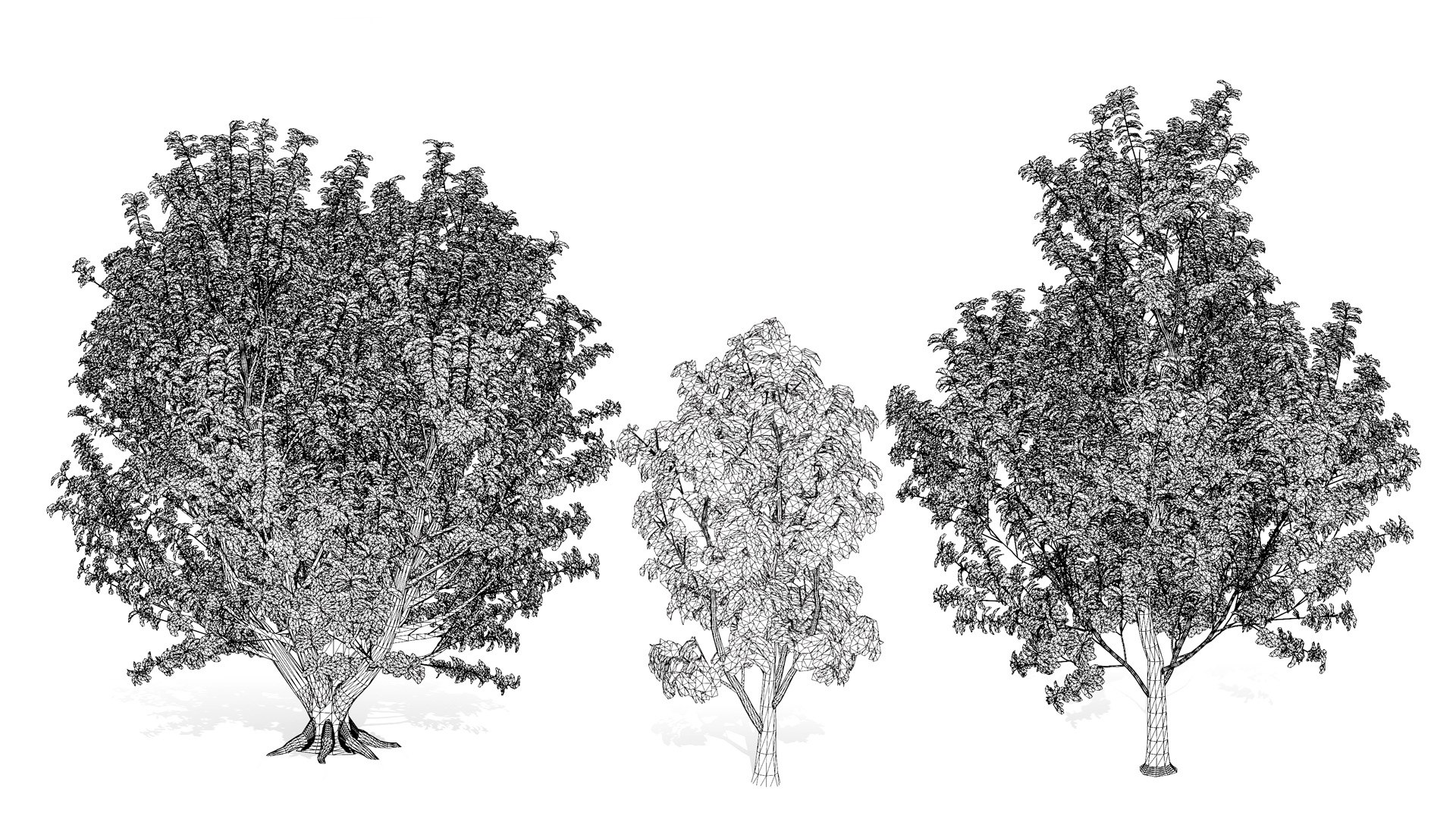 3D Realistic Rubber Tree 3D Models Model - TurboSquid 2338082