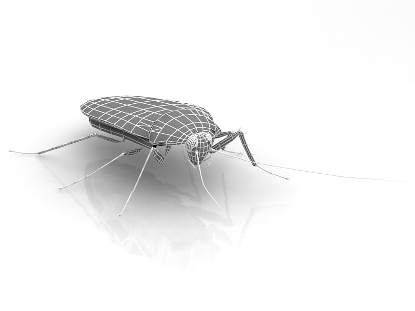 Cockroach model - TurboSquid 1759365