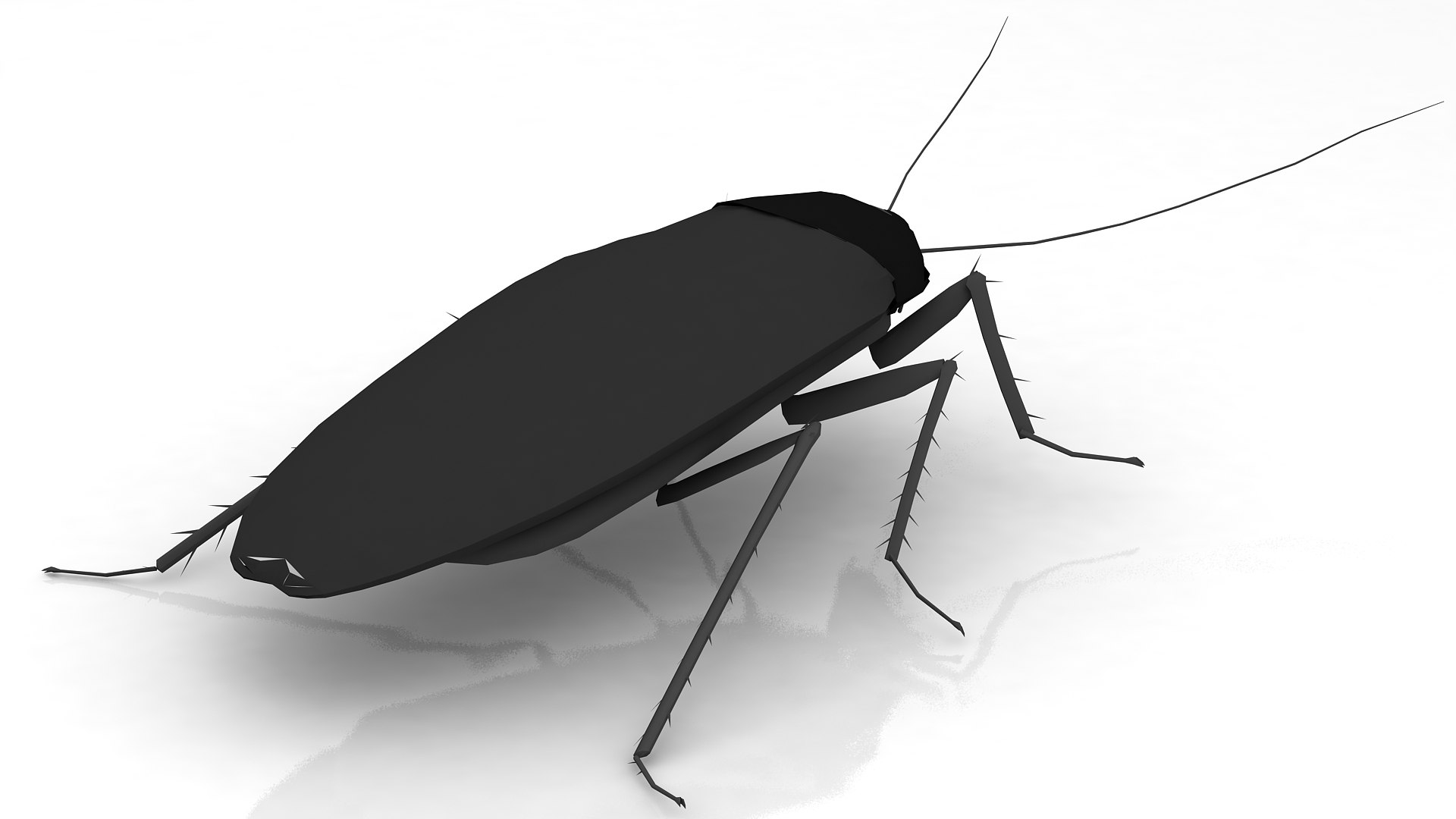 Cockroach model - TurboSquid 1759365