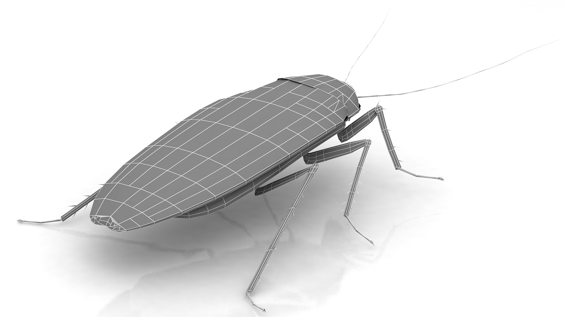 Cockroach model - TurboSquid 1759365