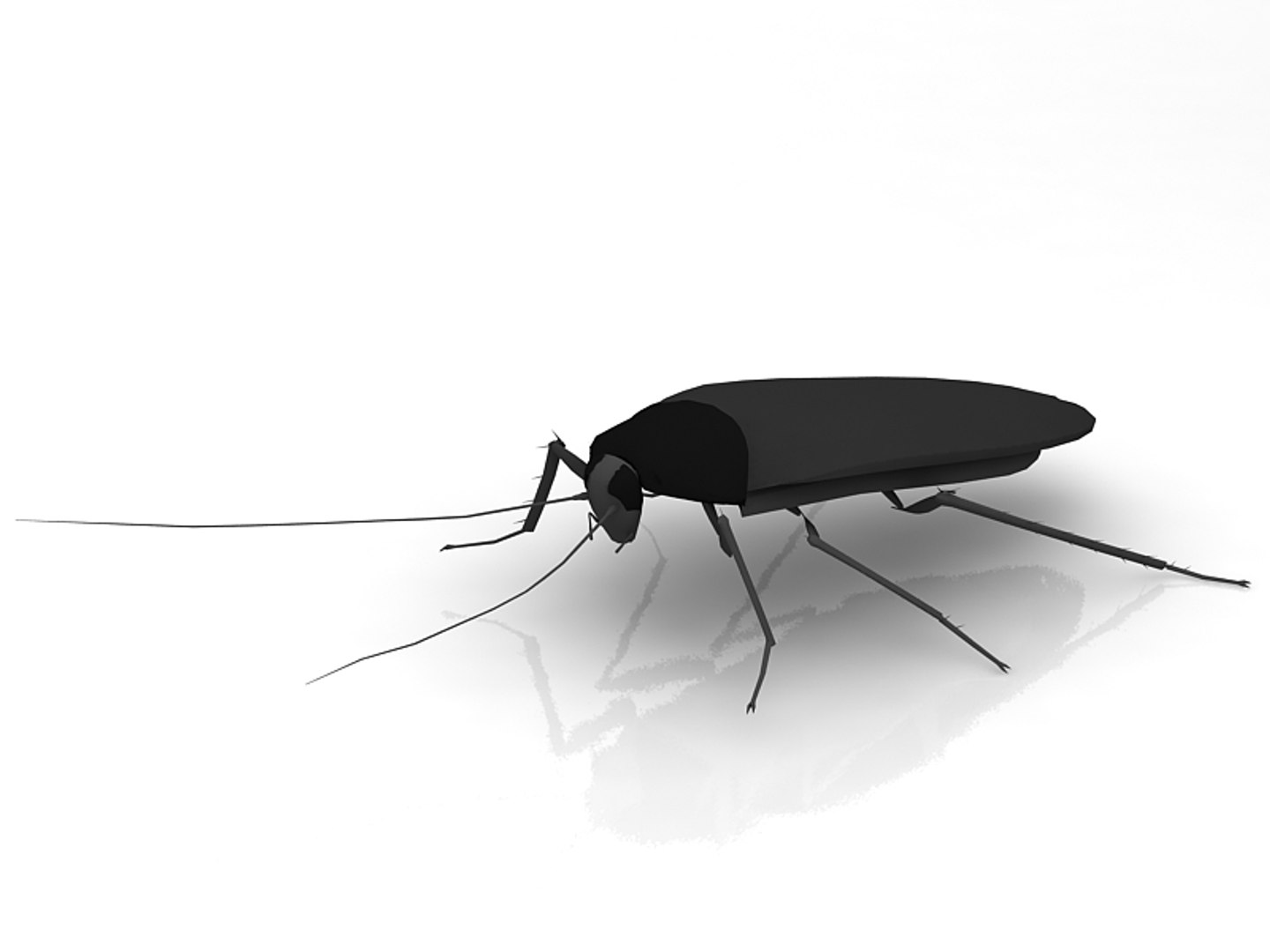 Cockroach model - TurboSquid 1759365