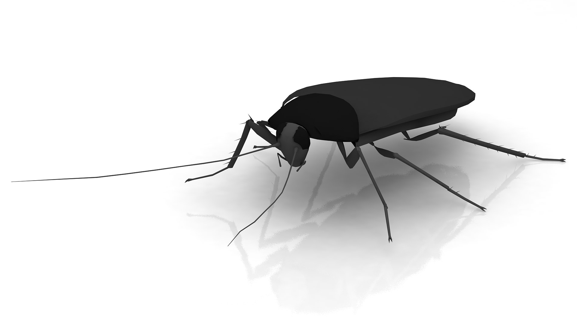 Cockroach model - TurboSquid 1759365