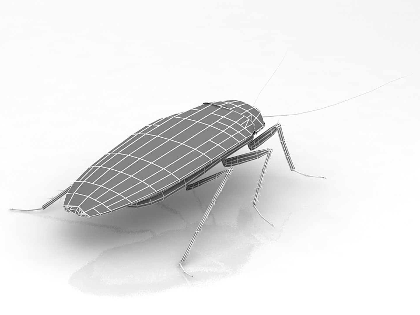 Cockroach model - TurboSquid 1759365
