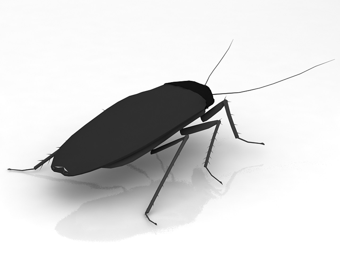 Cockroach model - TurboSquid 1759365