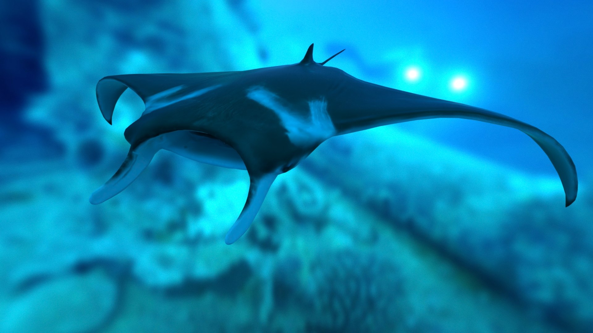 Manta Animation 3D Model - TurboSquid 1404736