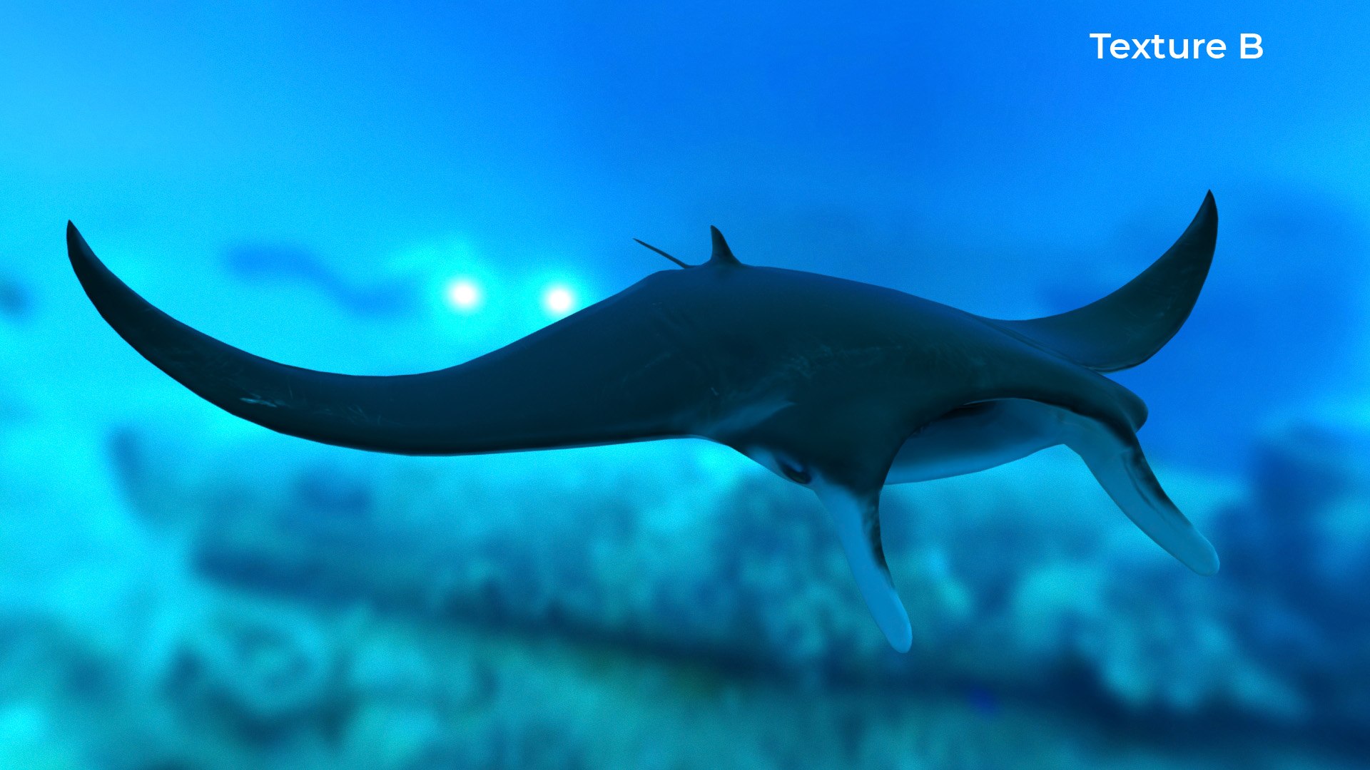 Manta Animation 3D Model - TurboSquid 1404736