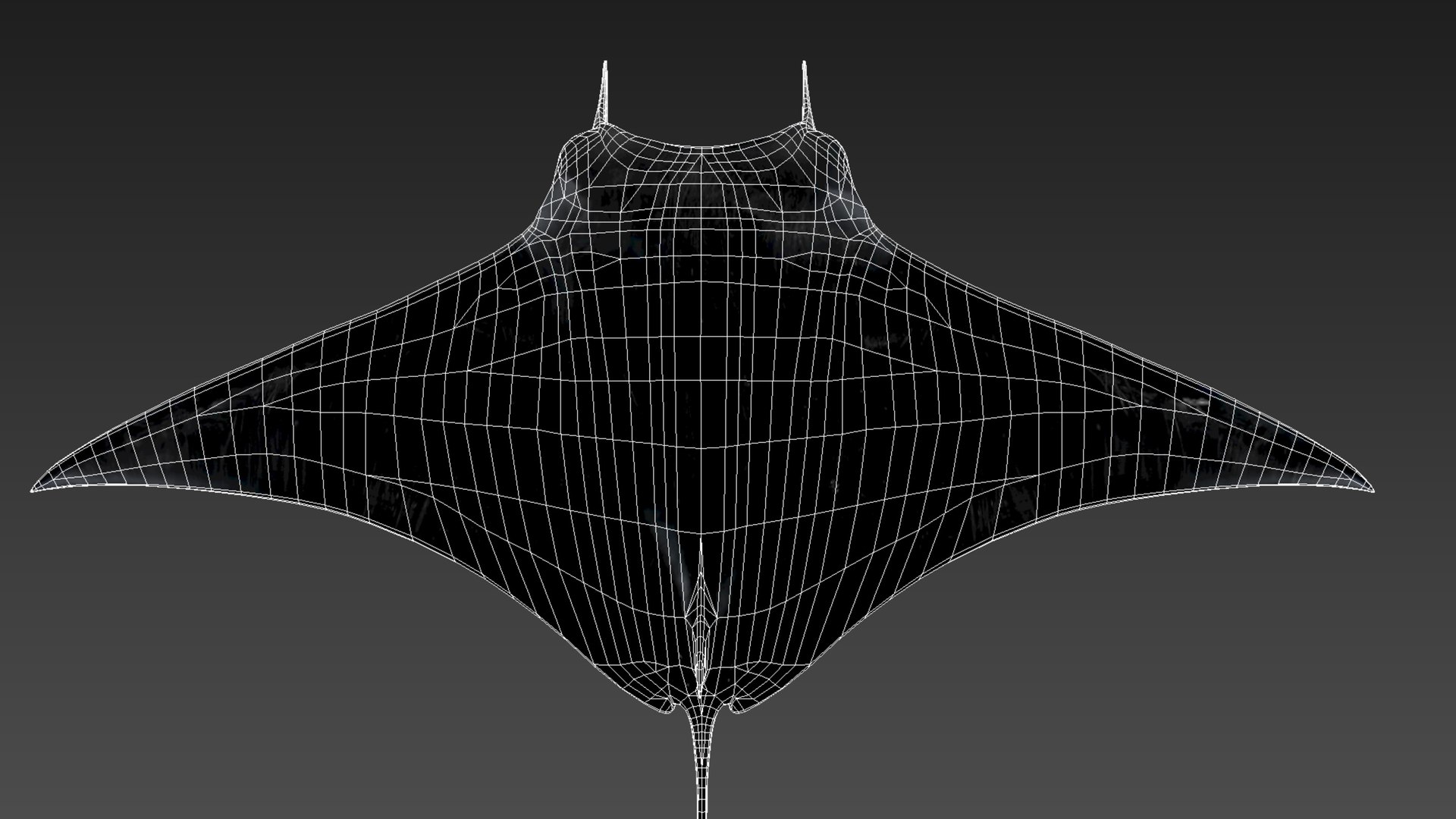 Manta Animation 3D Model - TurboSquid 1404736