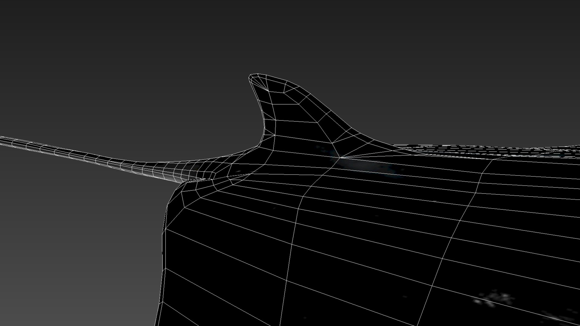 Manta Animation 3D Model - TurboSquid 1404736