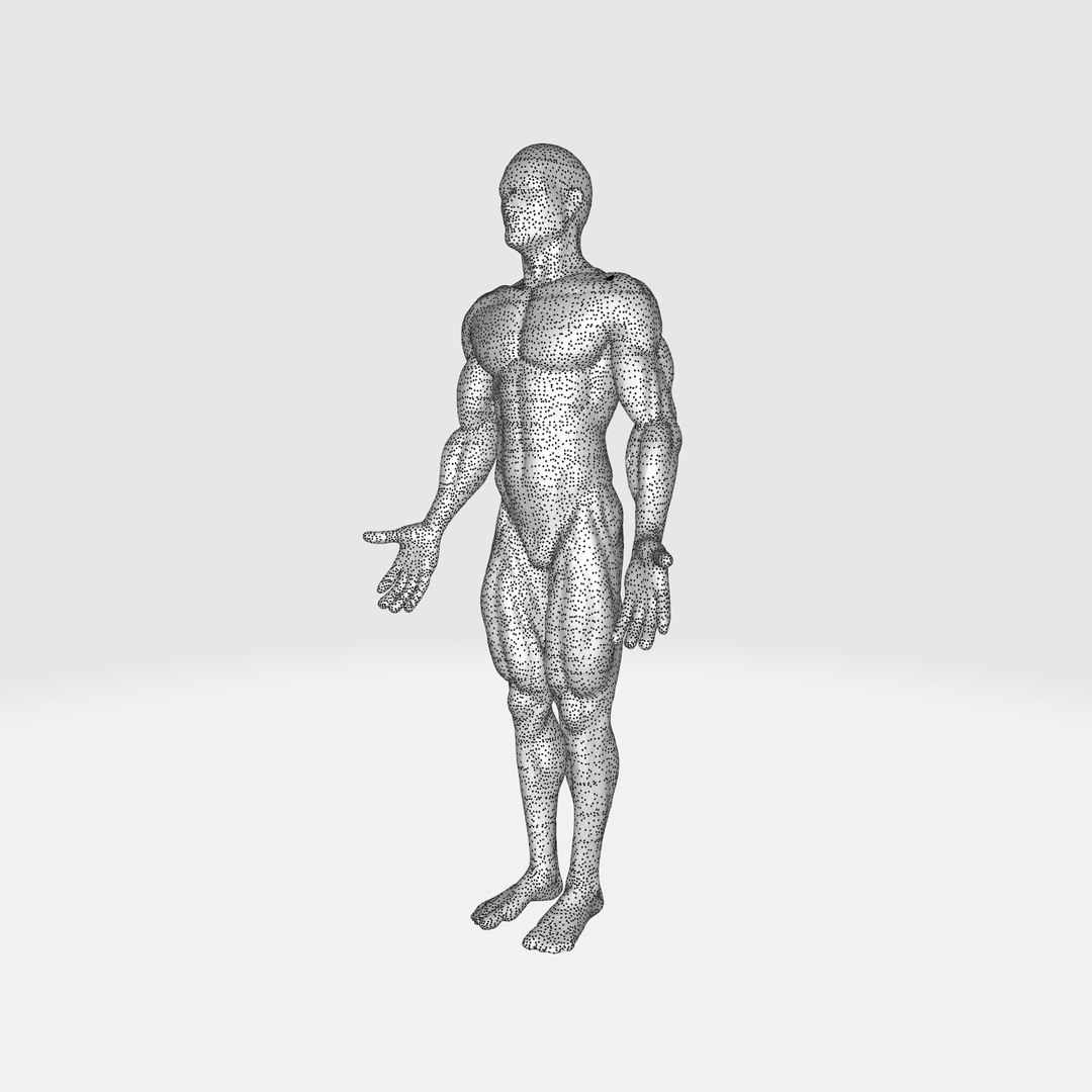 Male Anatomical 3D Model - TurboSquid 2266695
