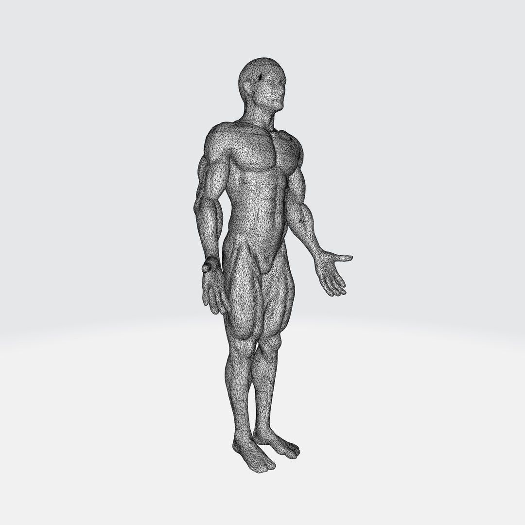 Male Anatomical 3D Model - TurboSquid 2266695