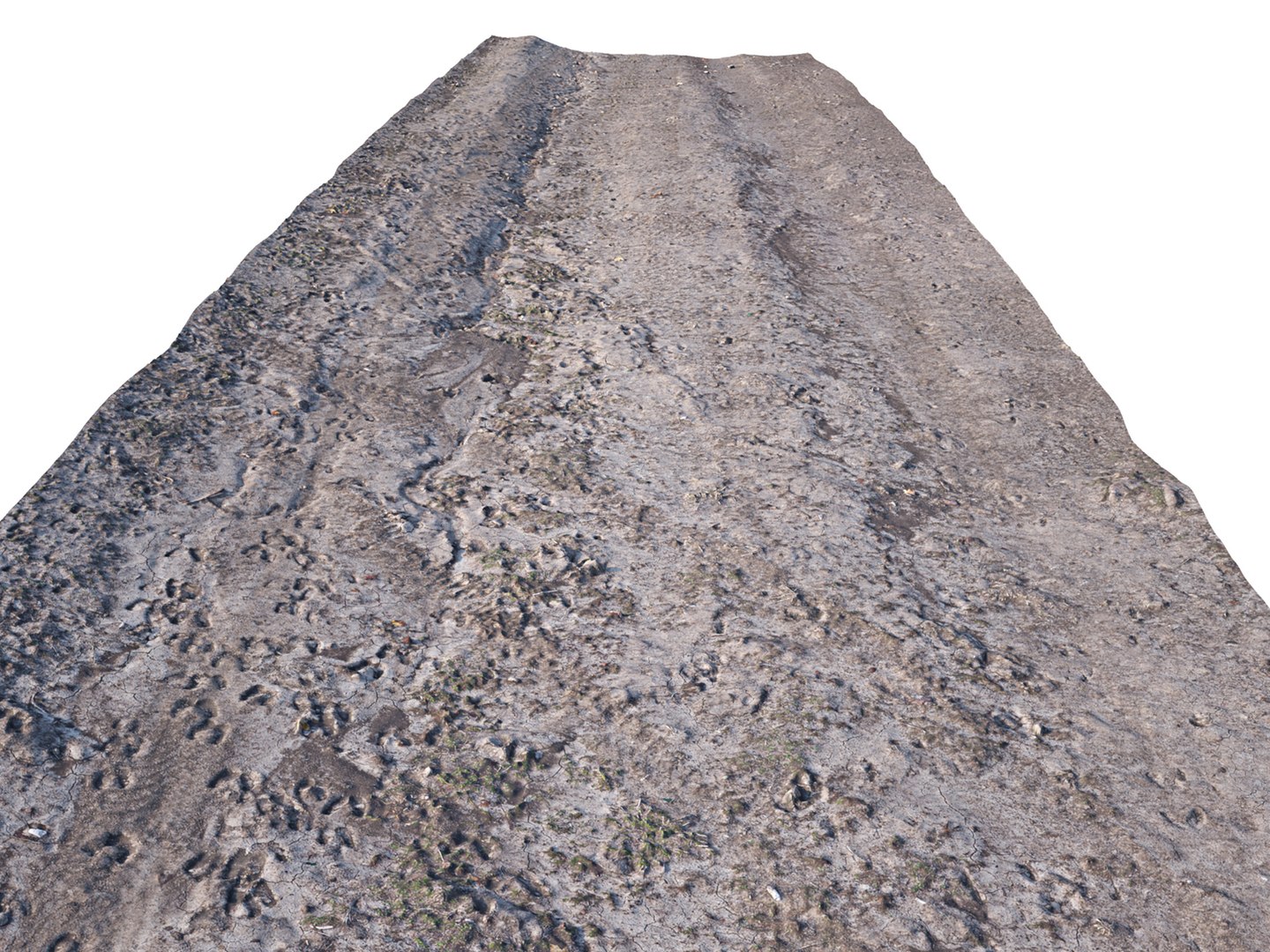 Dirt Road Scan 3D - TurboSquid 1671398