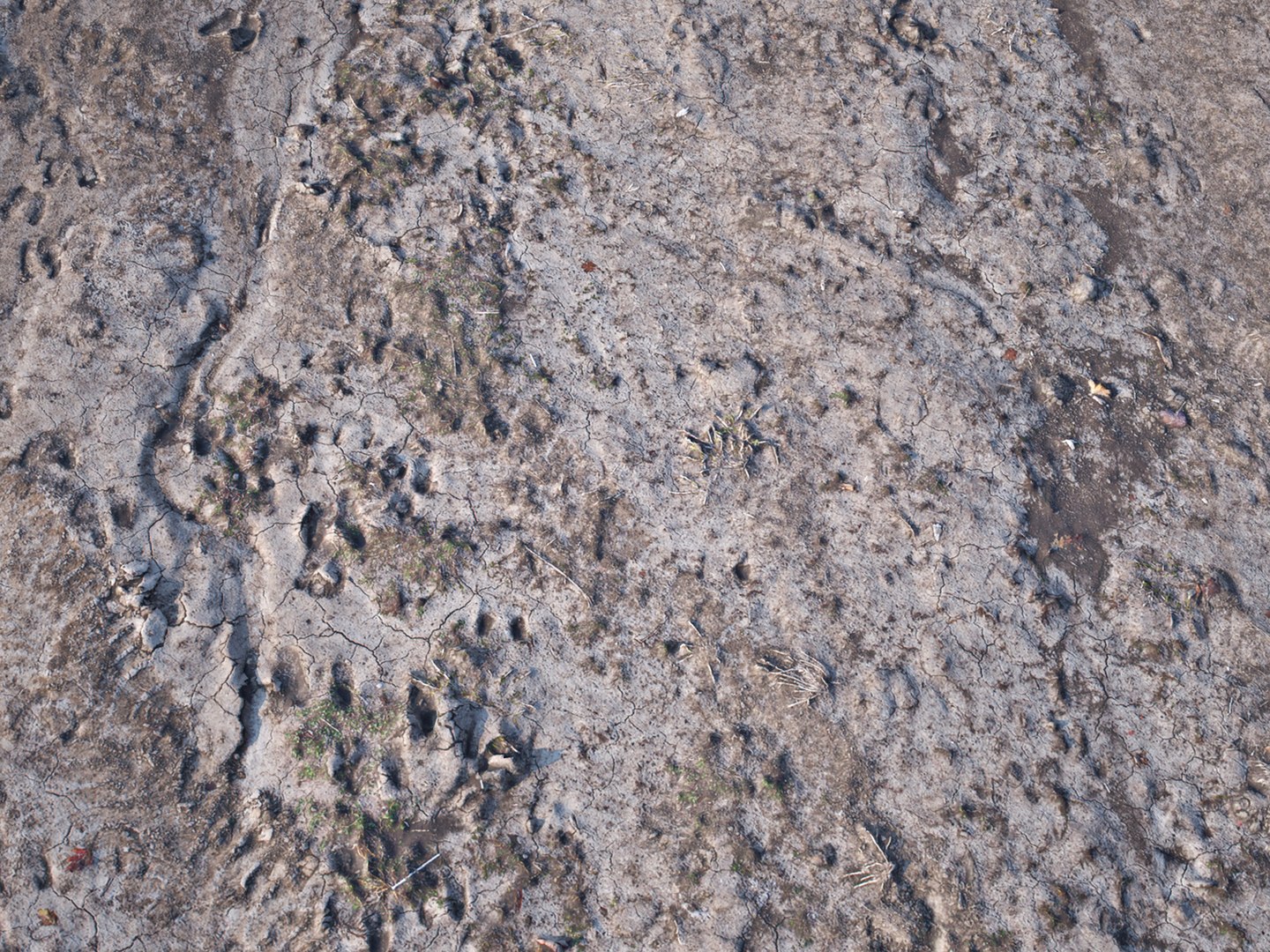 Dirt Road Scan 3D - TurboSquid 1671398