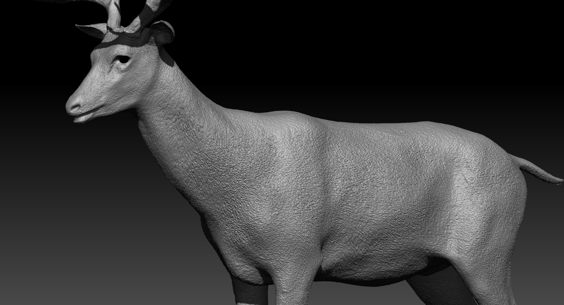 Deer Rigged 3D Model - TurboSquid 1250385
