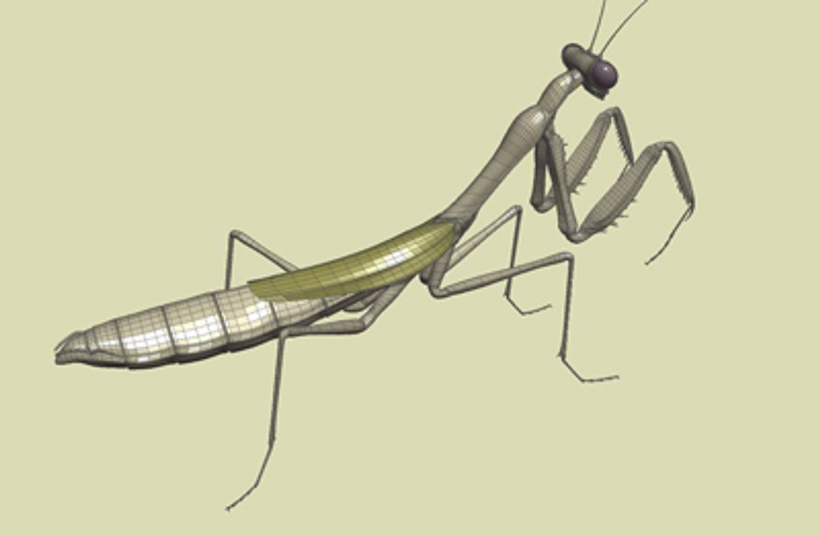 Praying Mantis 3d 3ds
