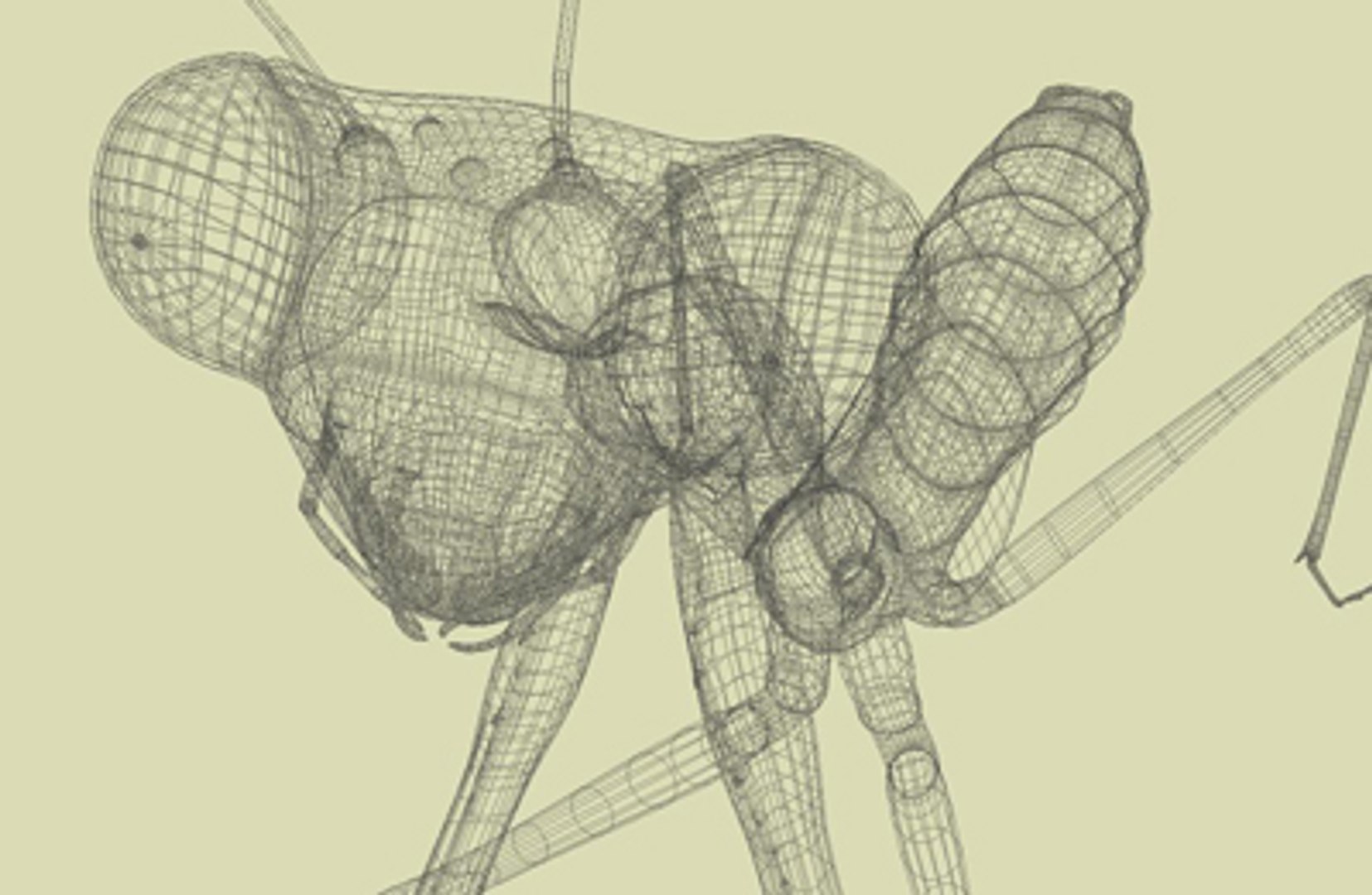 Praying Mantis 3d 3ds