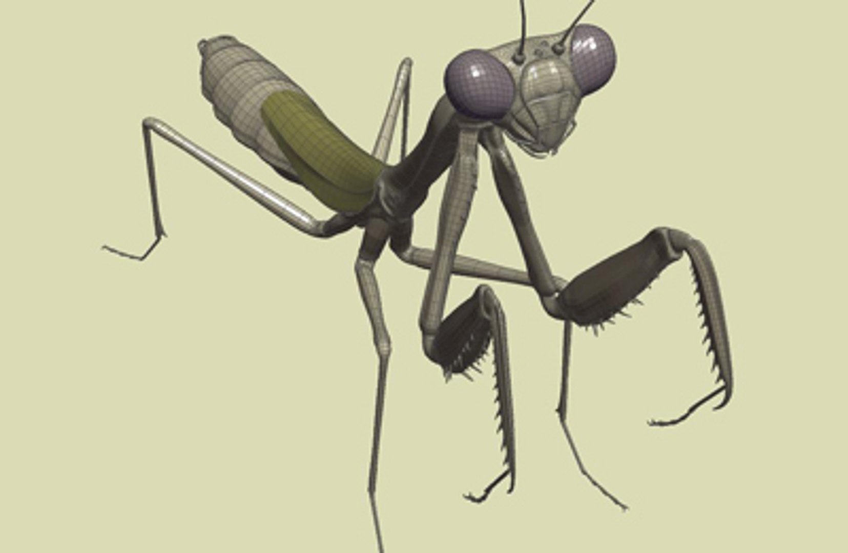 Praying Mantis 3d 3ds