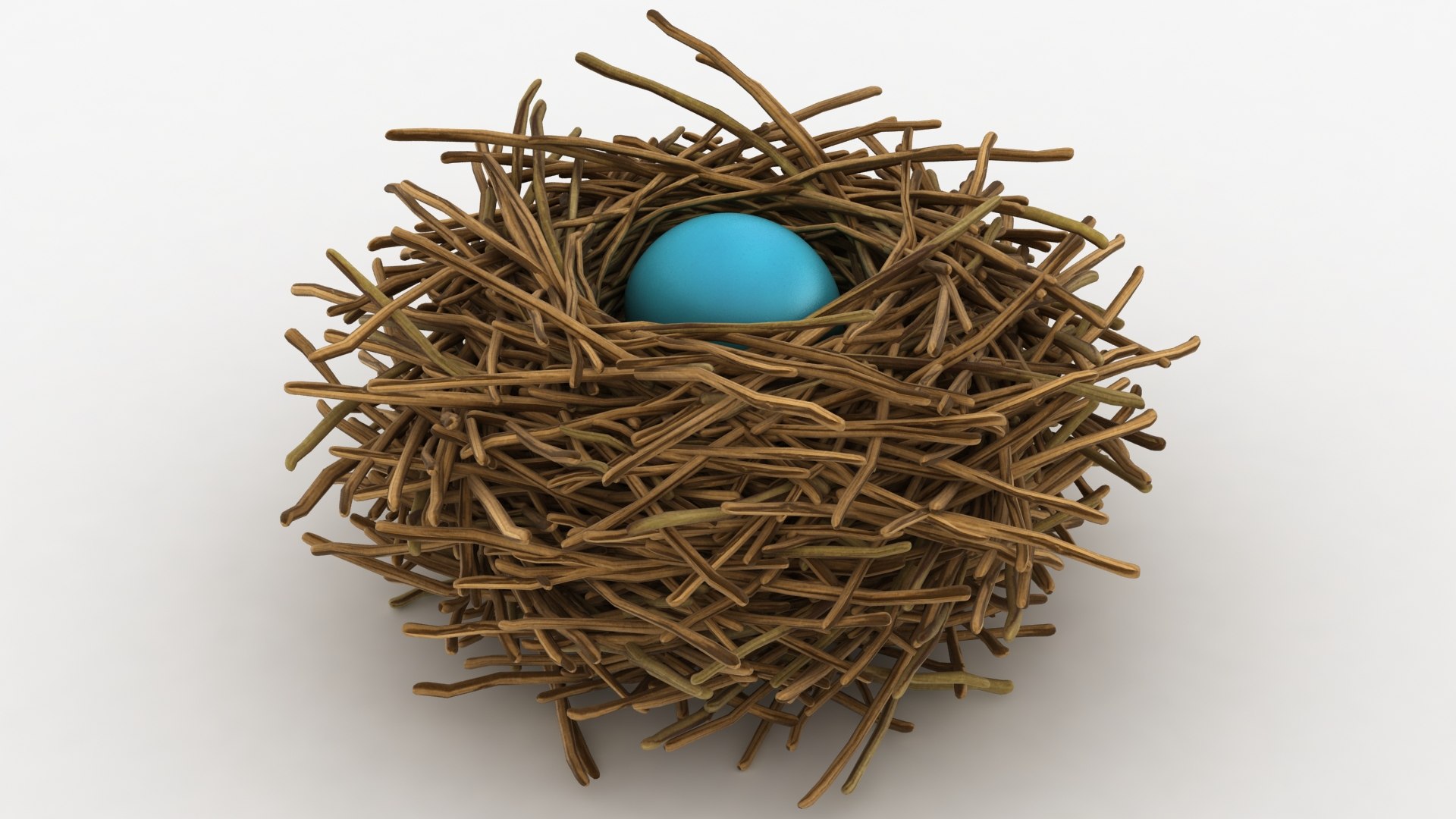 Realistic Bird Nest 04 3D Model - TurboSquid 1561566