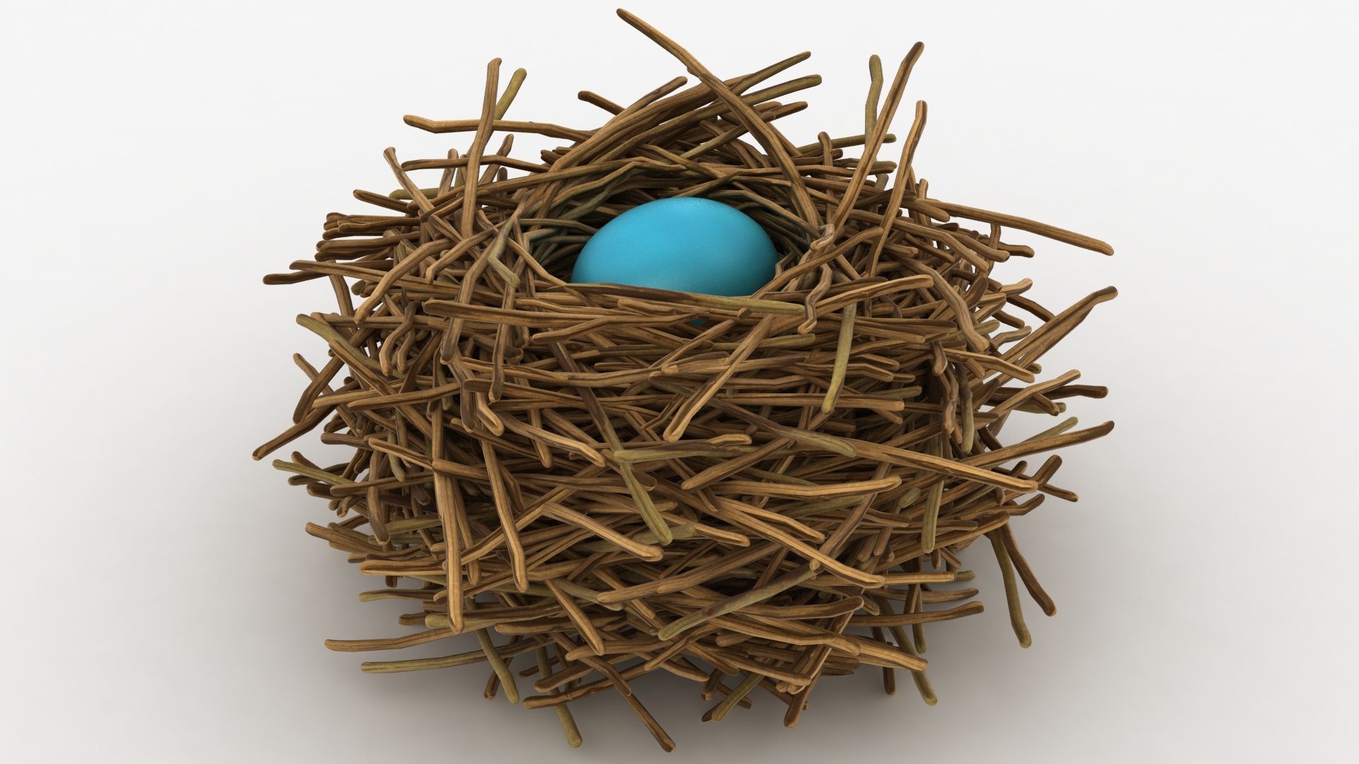 Realistic Bird Nest 04 3D Model - TurboSquid 1561566