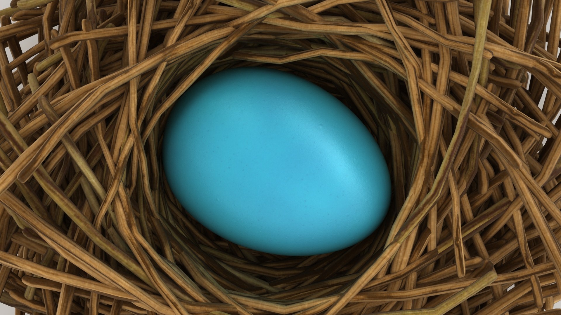 Realistic bird nest 04 3D model - TurboSquid 1561566