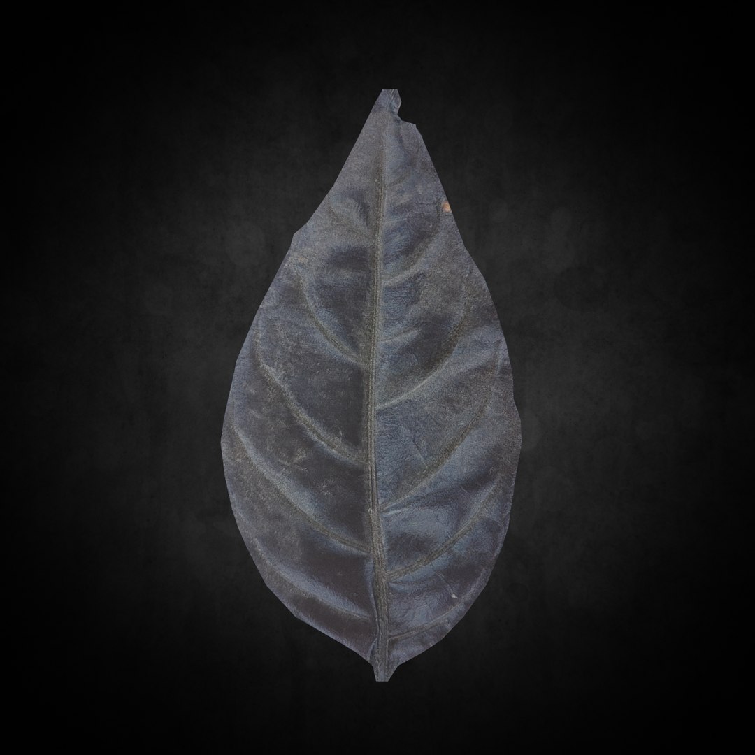 3D Low Poly Leaf 097 - TurboSquid 1852582