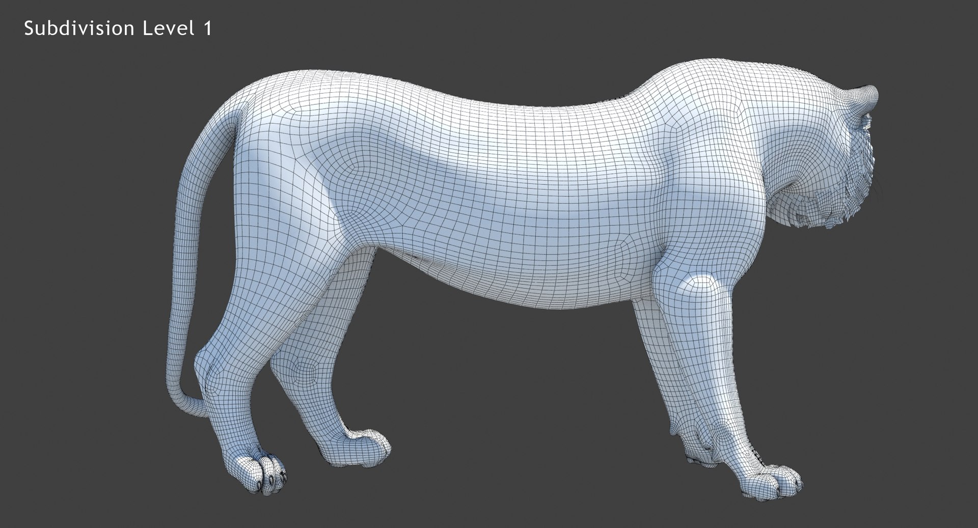 Sumatran tiger cat animation model - TurboSquid 1224349