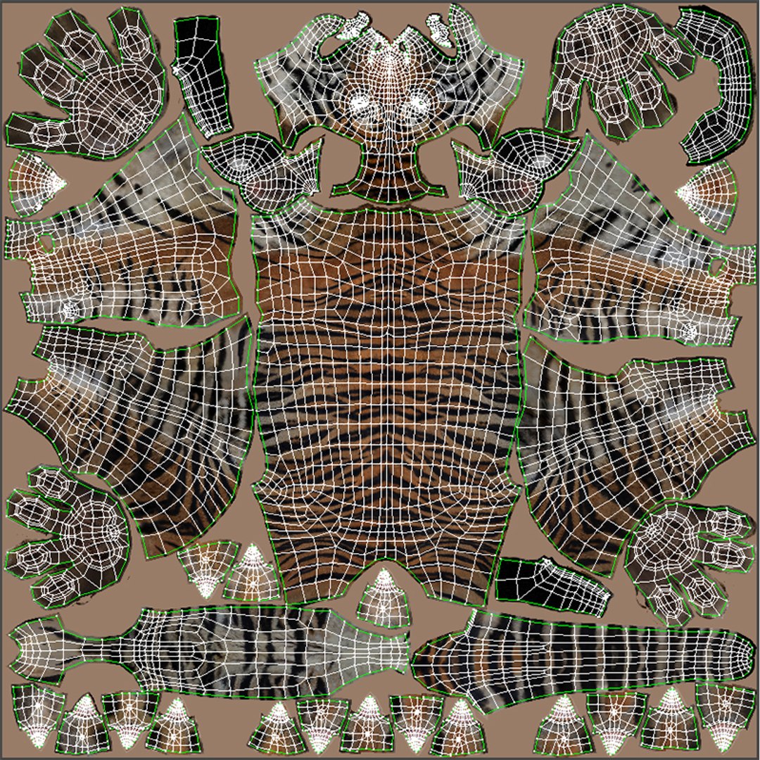 Sumatran tiger cat animation model - TurboSquid 1224349