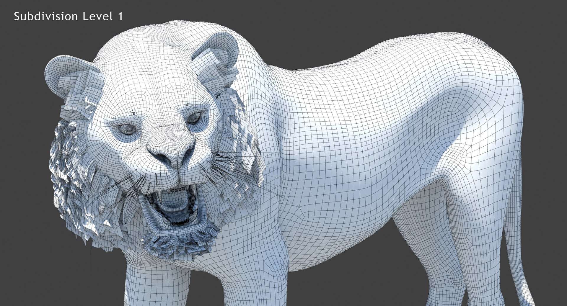 Sumatran tiger cat animation model - TurboSquid 1224349