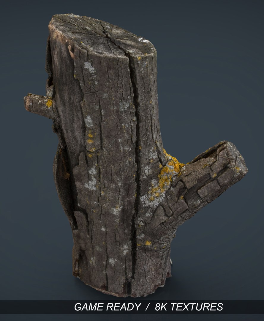 realistic wood log 3d 3ds
