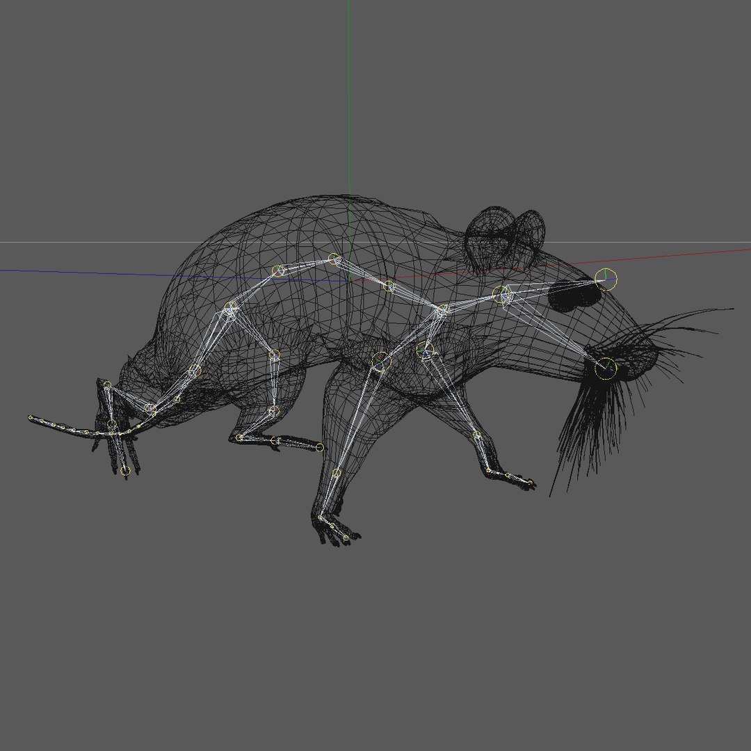 3d Black Running Mouse Animations
