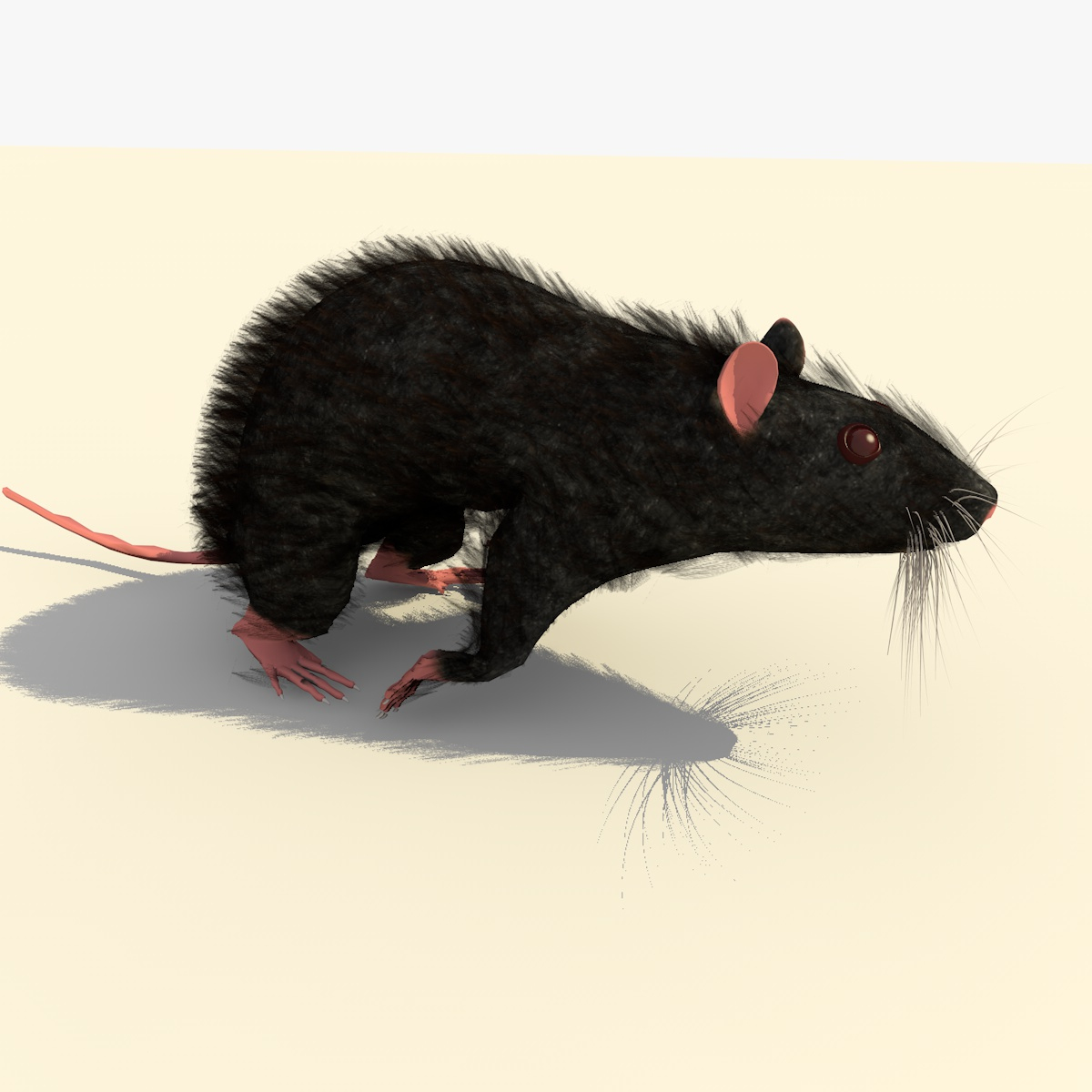 3d black running mouse animations