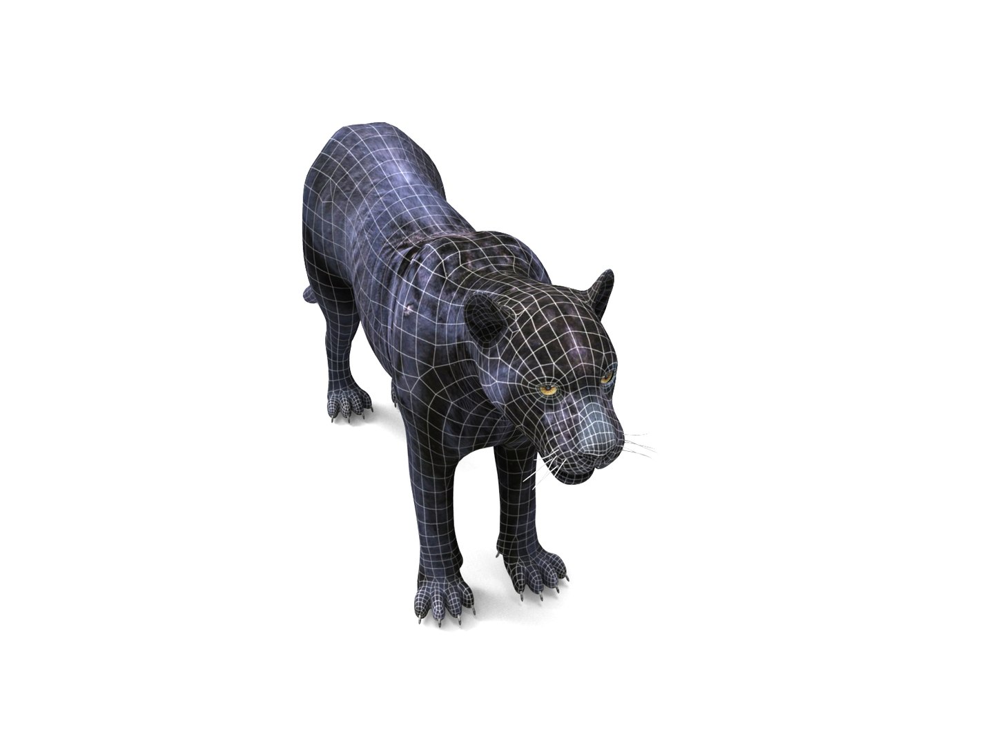 Black Panther Ready 3D Model - TurboSquid 1284392