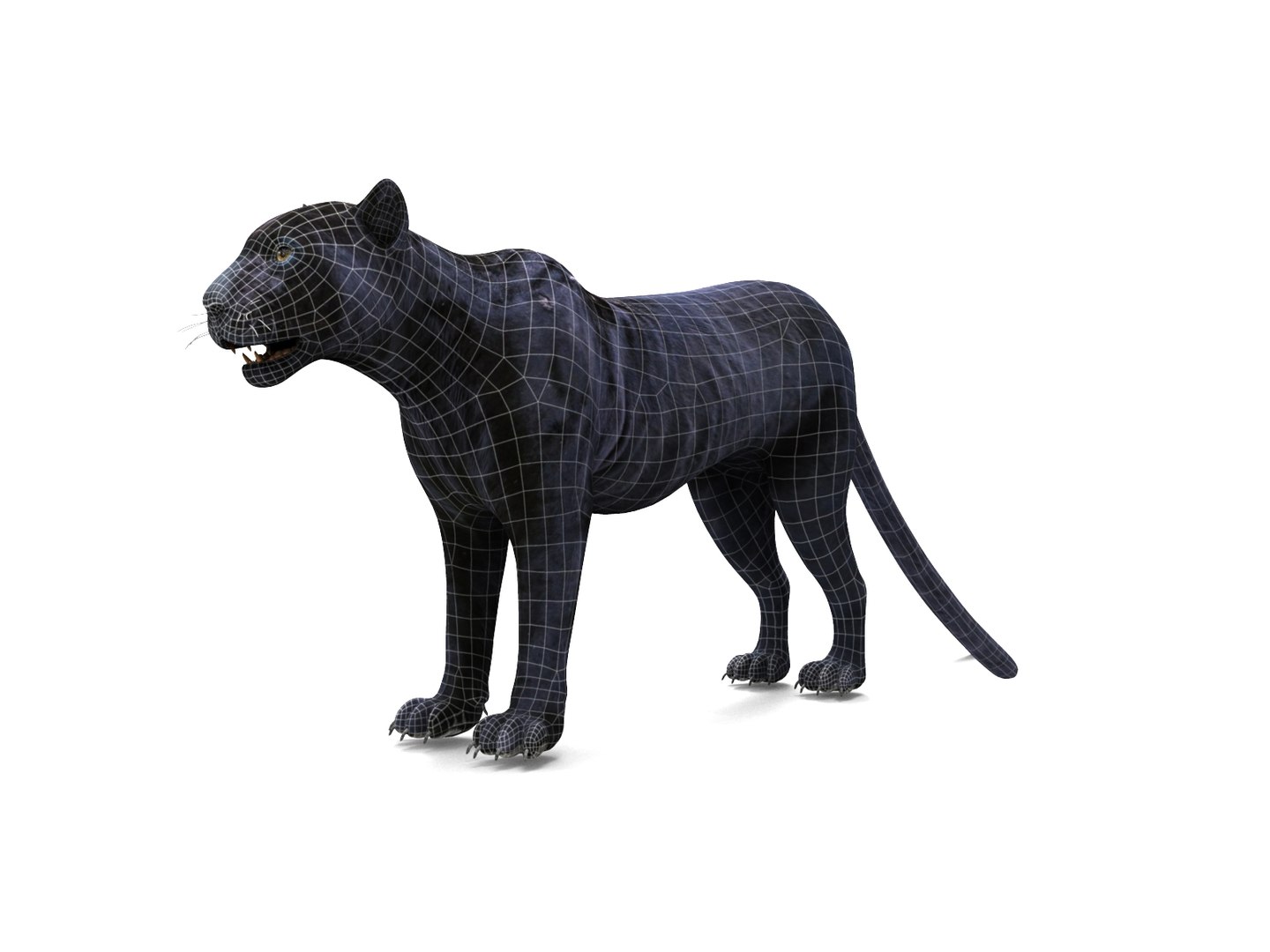 Black Panther Ready 3D Model - TurboSquid 1284392