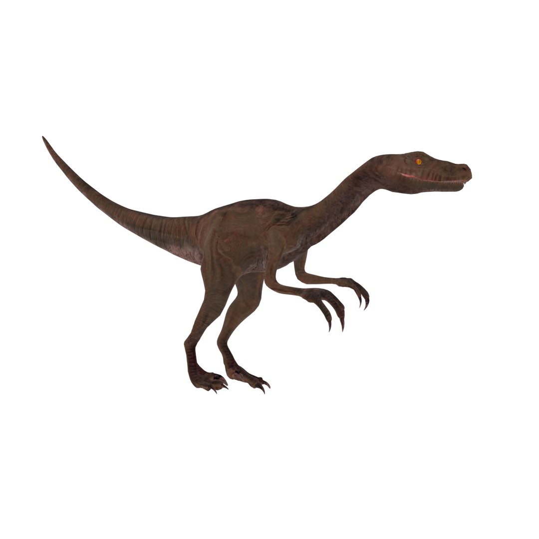 Velociraptor Dinosaur 3D - TurboSquid 2168690