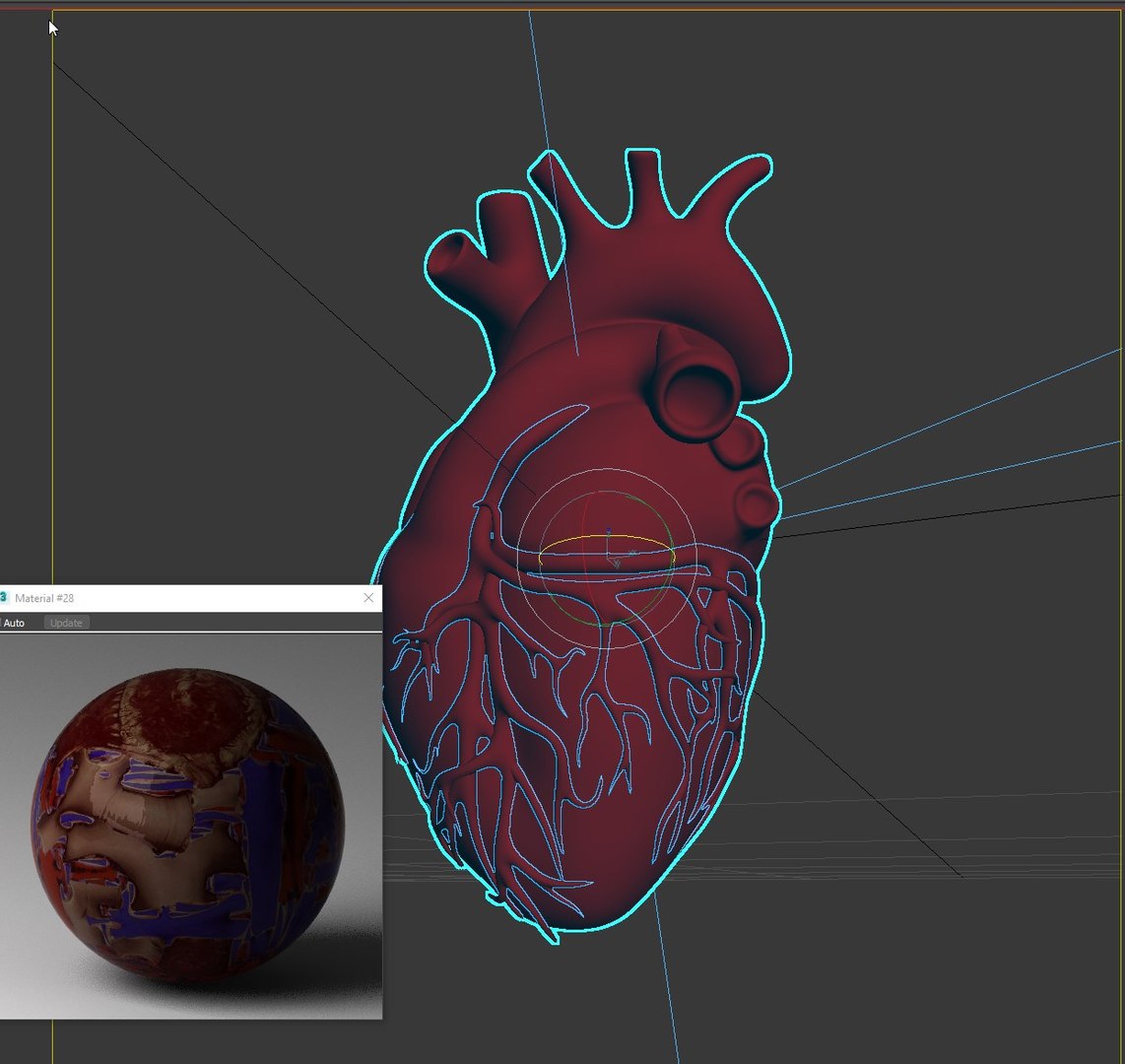 3D Human Heart Sliced Internal And External Version PBR Realtime Low ...