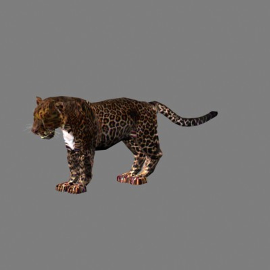 Leopard Animate 3d Model