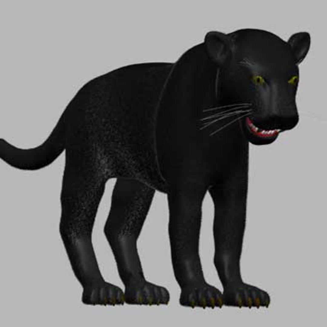 Leopard Animate 3d Model
