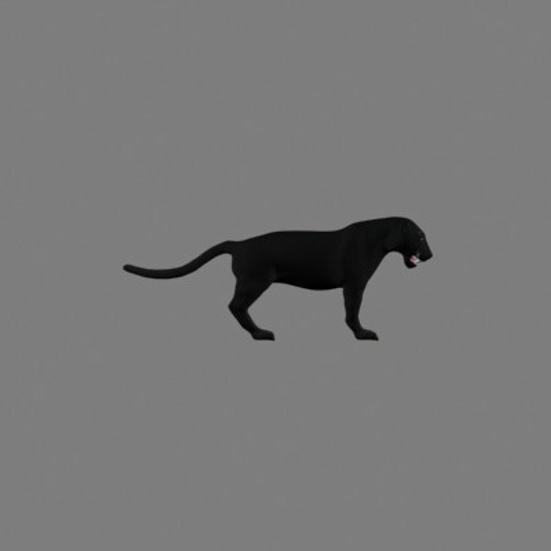 Leopard Animate 3d Model