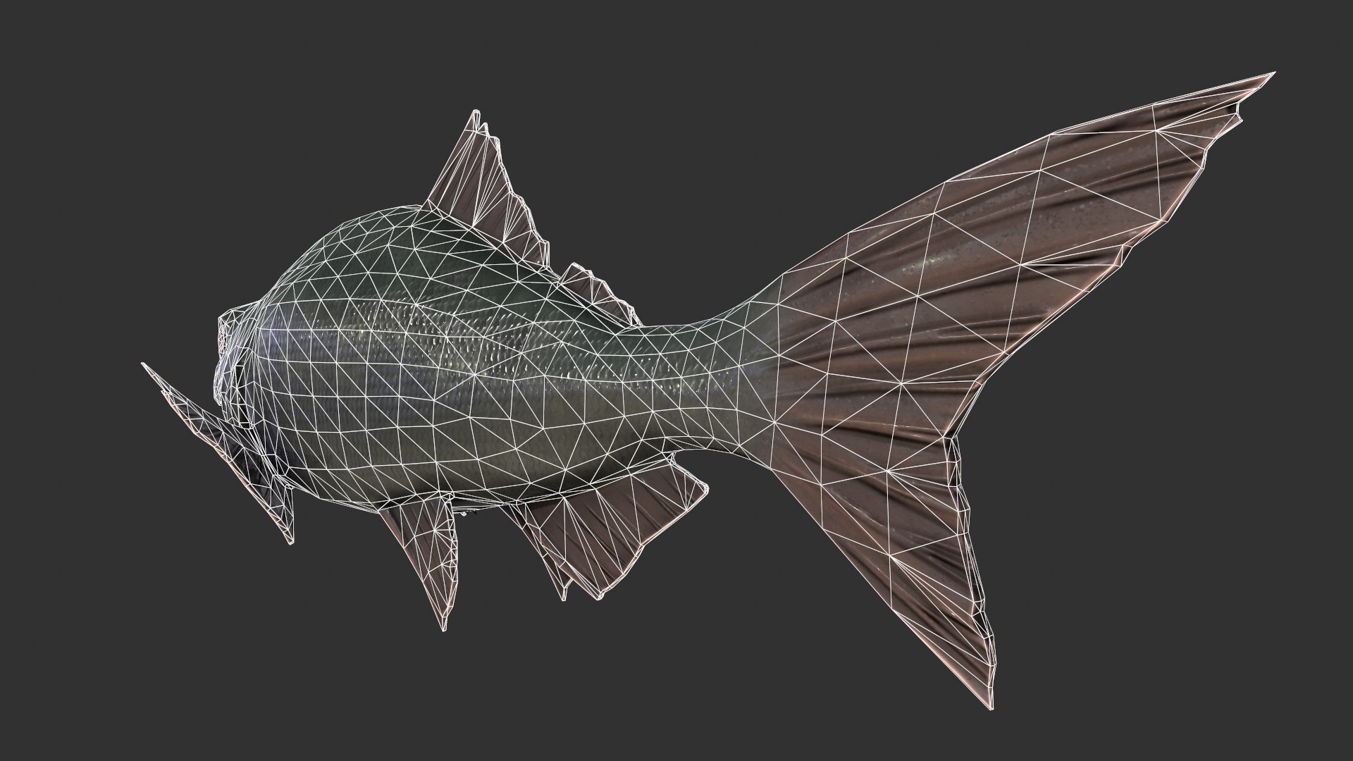 3D Freshwater Fish - TurboSquid 1962490
