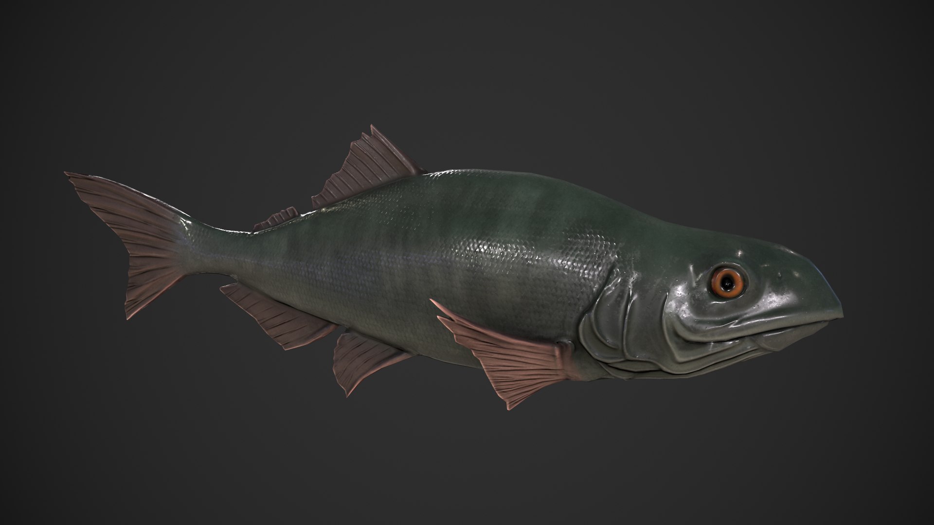 3D Freshwater Fish - TurboSquid 1962490
