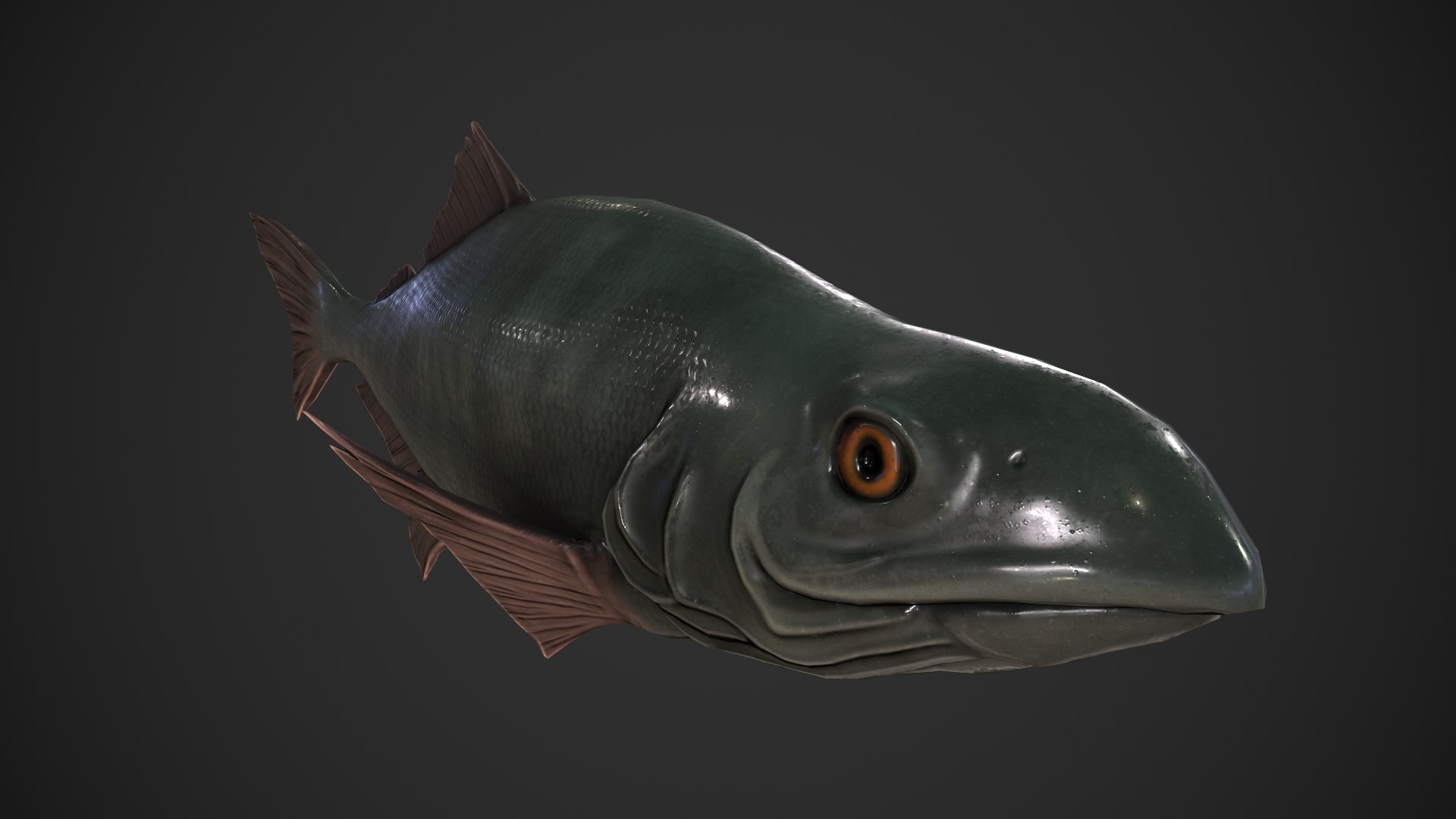 3D Freshwater Fish - TurboSquid 1962490