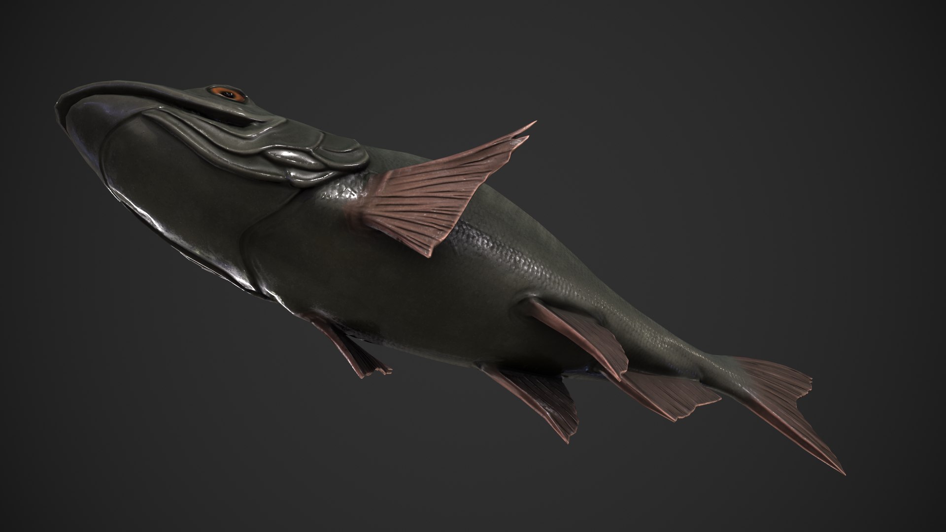 3D Freshwater Fish - TurboSquid 1962490